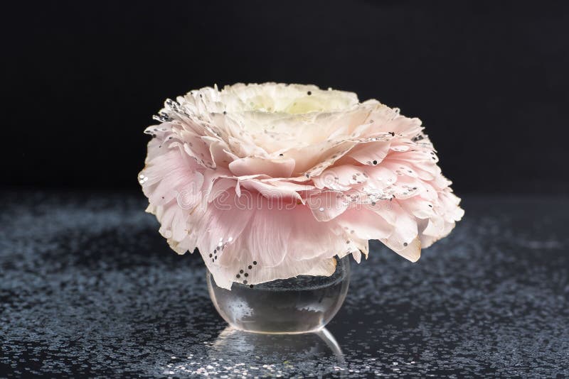 Beautiful Pink Rose in a Small Glass Vase Stock Photo - Image of ...
