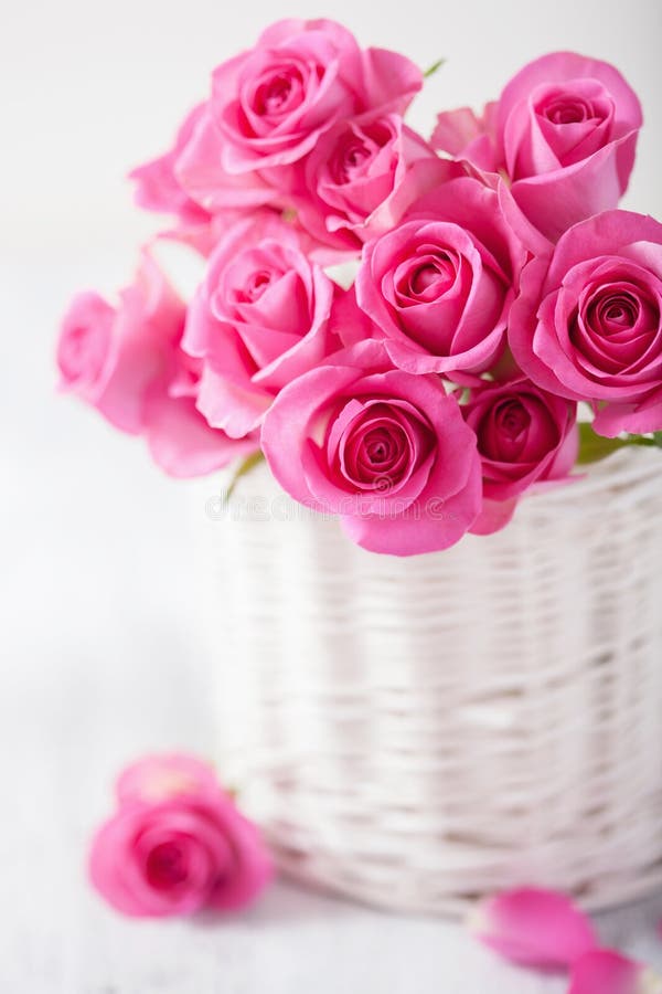 Bouquet of roses in vase stock image. Image of plant - 22197249