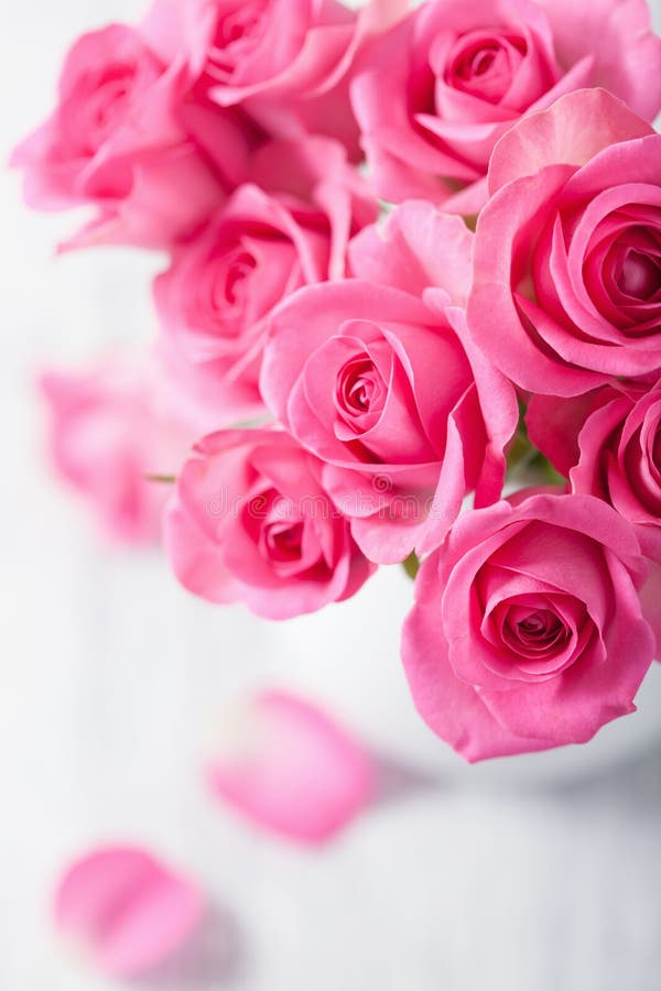 Beautiful Pink Roses Bouquet in Vase Stock Photo - Image of vase ...