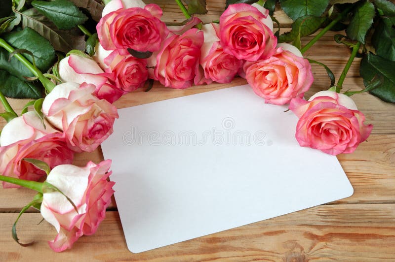 Beautiful Pink Roses Bunch on Wooden Background with White Empty Sheet ...