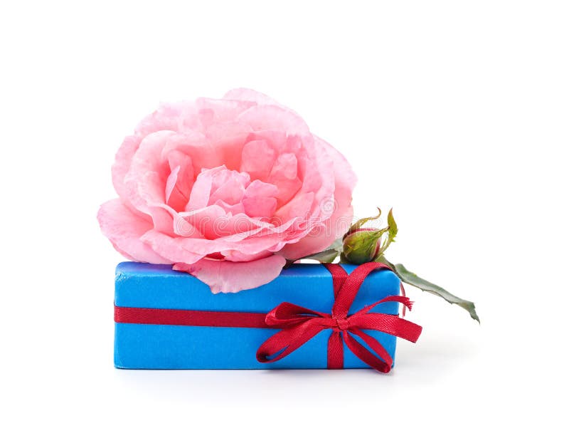 Beautiful Pink Roses with a Gift Stock Image - Image of holiday, cute ...