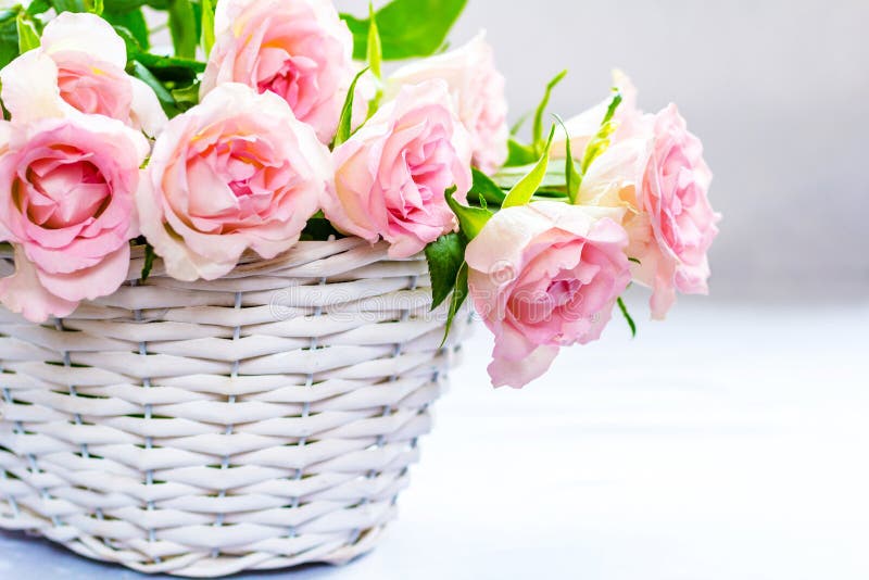 Beautiful, Pink Roses in a White Basket Close Up Stock Image - Image of ...