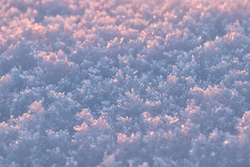 Pink Snow at Dusk, Scottish Highlands Stock Photo - Image of snow ...