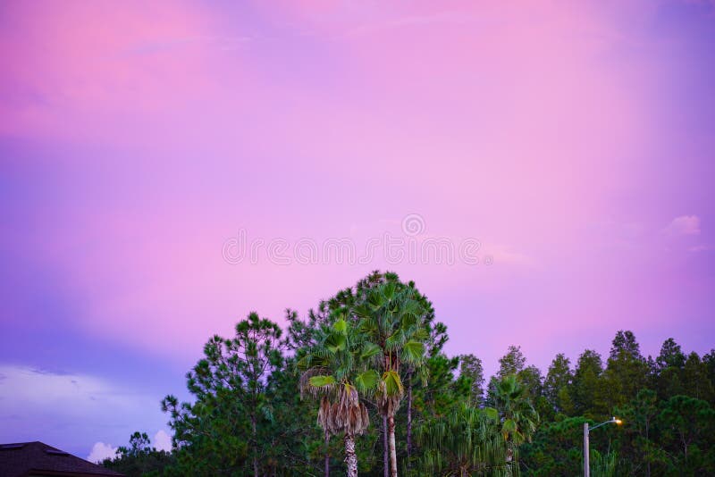 Beautiful pink sun set sky stock image. Image of bright - 256360853