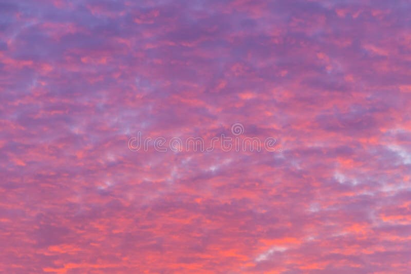 Beautiful pink sunrise sky stock image. Image of morning - 235616051