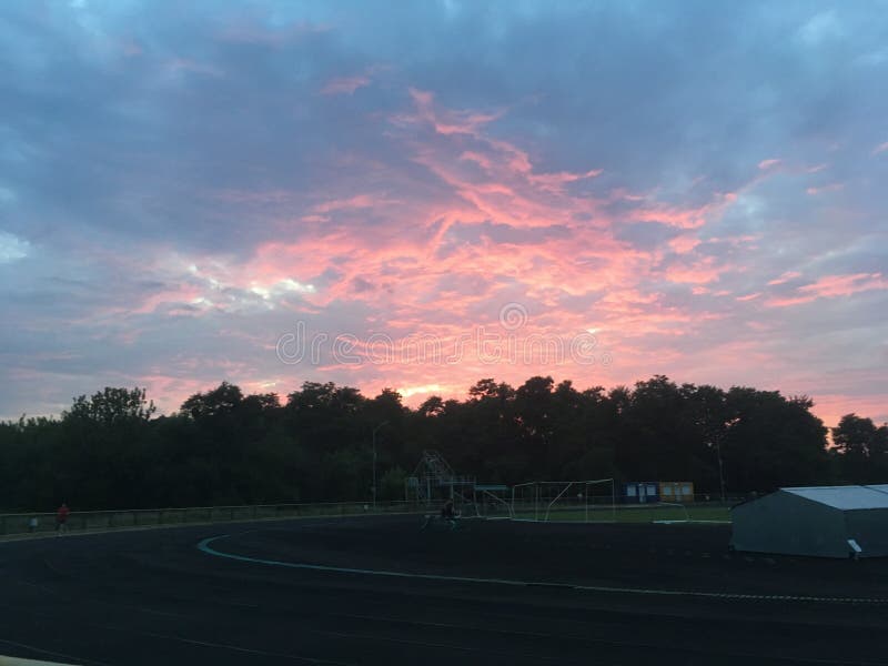 Beautiful Pink Sunset Sky with Clouds in Park with Trees on Background ...