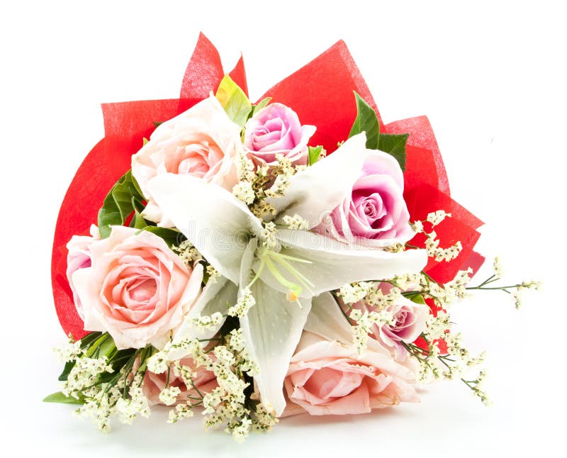 Beautiful Pink and White Roses Stock Image - Image of element, floral ...