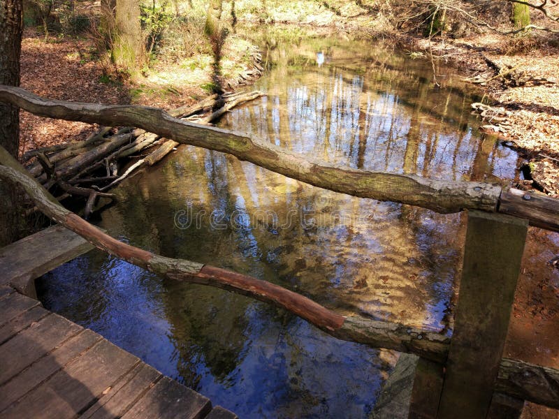 Beautiful place stock photo. Image of branch, tree, trunk - 90340468