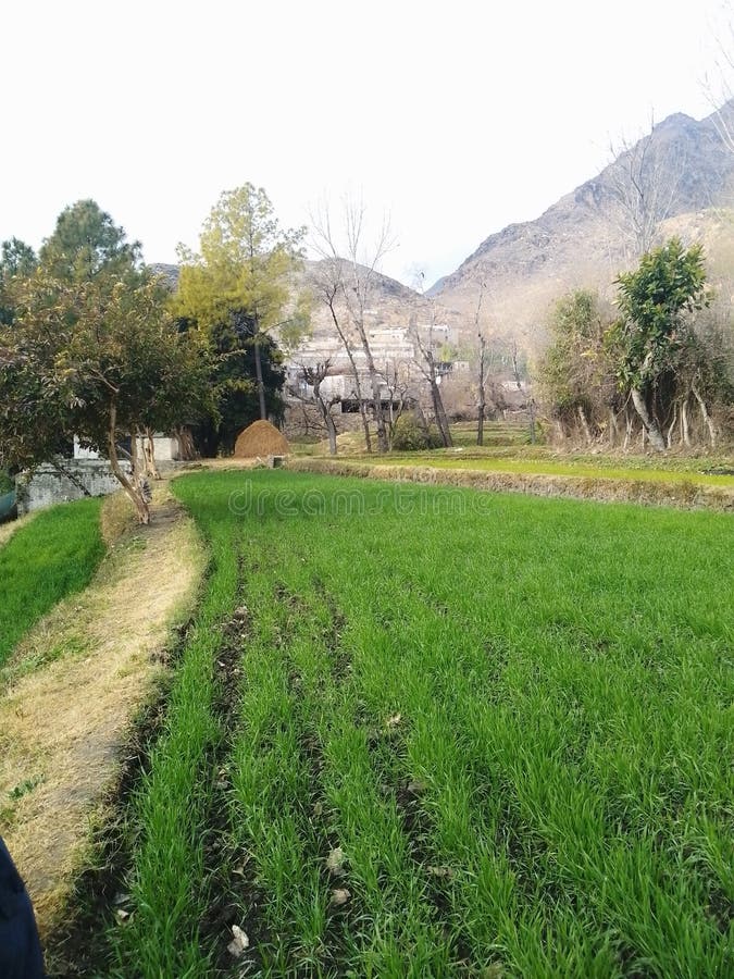 Beautiful Place Natural Beauty Amazing Stock Image - Image of beauty ...