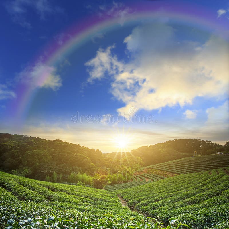 Beautiful Place with Nice Rainbow Stock Image - Image of fresh, nature ...
