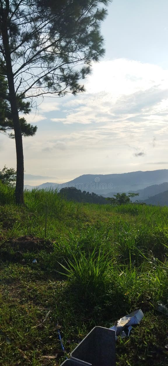 Beautiful Place in North Java Forest Stock Image - Image of forest ...