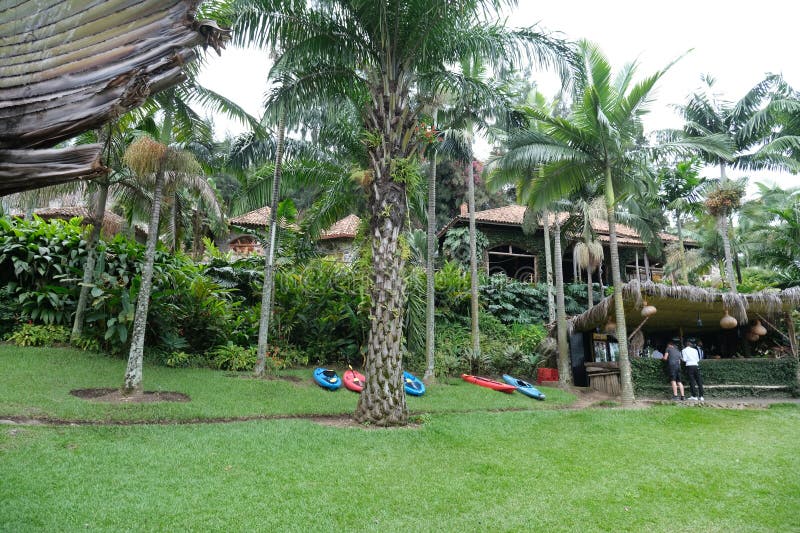 Beautiful Place in Rwanda Kigali Stock Photo - Image of food, lime ...