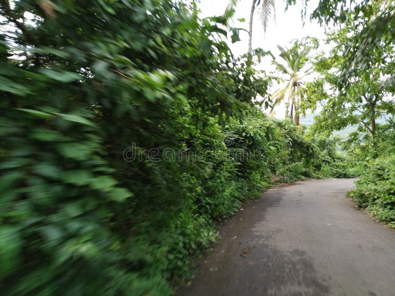 Beautiful Place Tourism Spot Green Stock Photo - Image of place ...