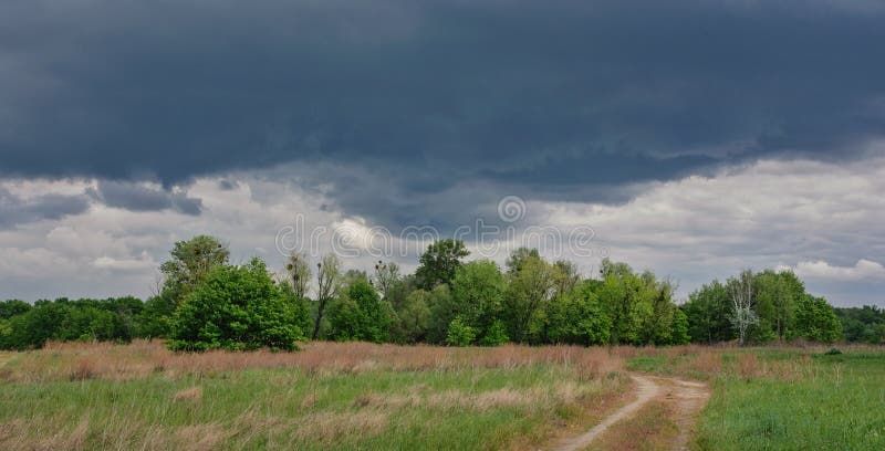 Beautiful Plain Sky Horizon in Field Stock Image - Image of meadow ...