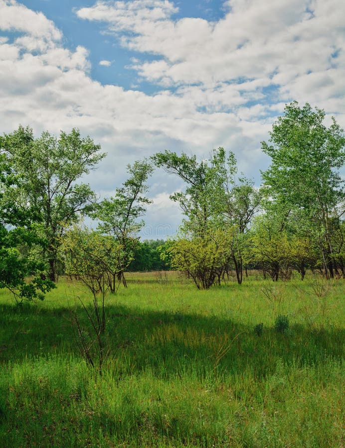 Beautiful Plain Sky Horizon in Field Stock Photo - Image of outlook ...