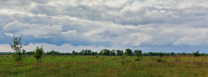 Beautiful Plain Sky Horizon in Field Stock Photo - Image of country ...