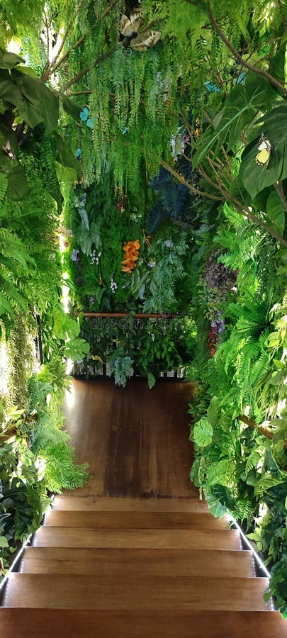 Beautiful plant stairs stock image. Image of branch - 230335921