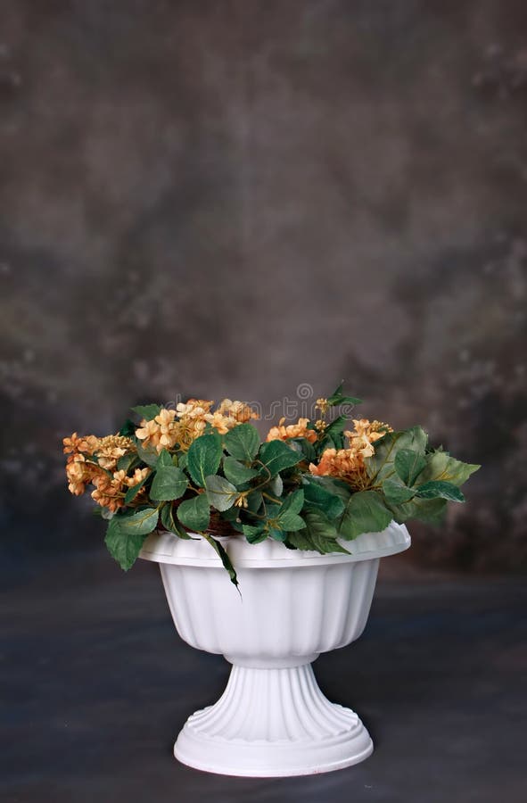 Beautiful Planter with Flowers Digital Prop Stock Image - Image of ...