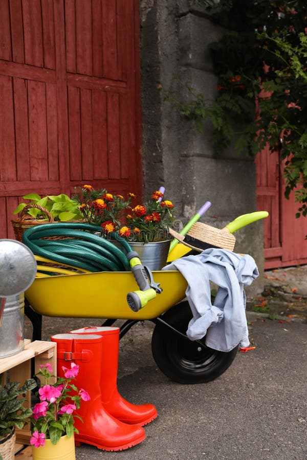 Beautiful Plants and Different Gardening Tools Outdoors Stock Photo ...