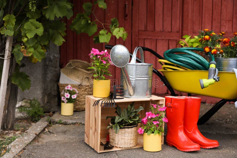 Beautiful Plants and Different Gardening Tools Outdoors Stock Photo ...
