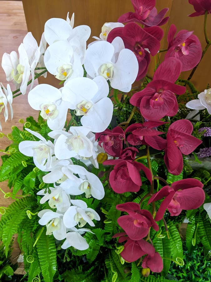 Beautiful Plastic Decorative Flowers Like the Original Stock Image ...