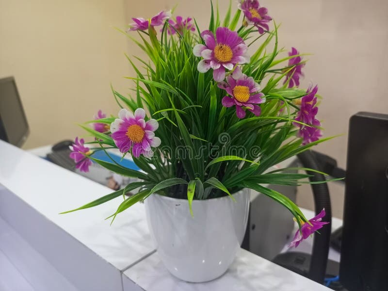 Beautiful Plastic Ornamental Plant on the Work Table Stock Photo ...