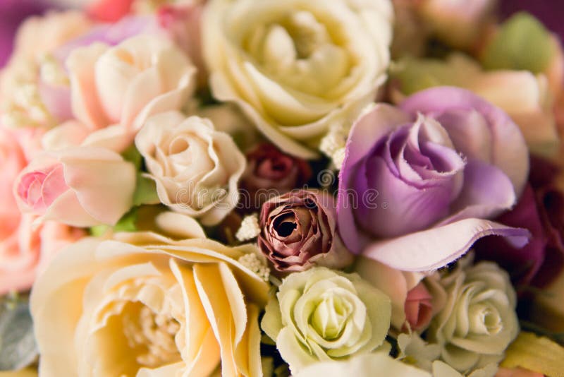 Beautiful Plastic Rose Flower Background Stock Image - Image of ...