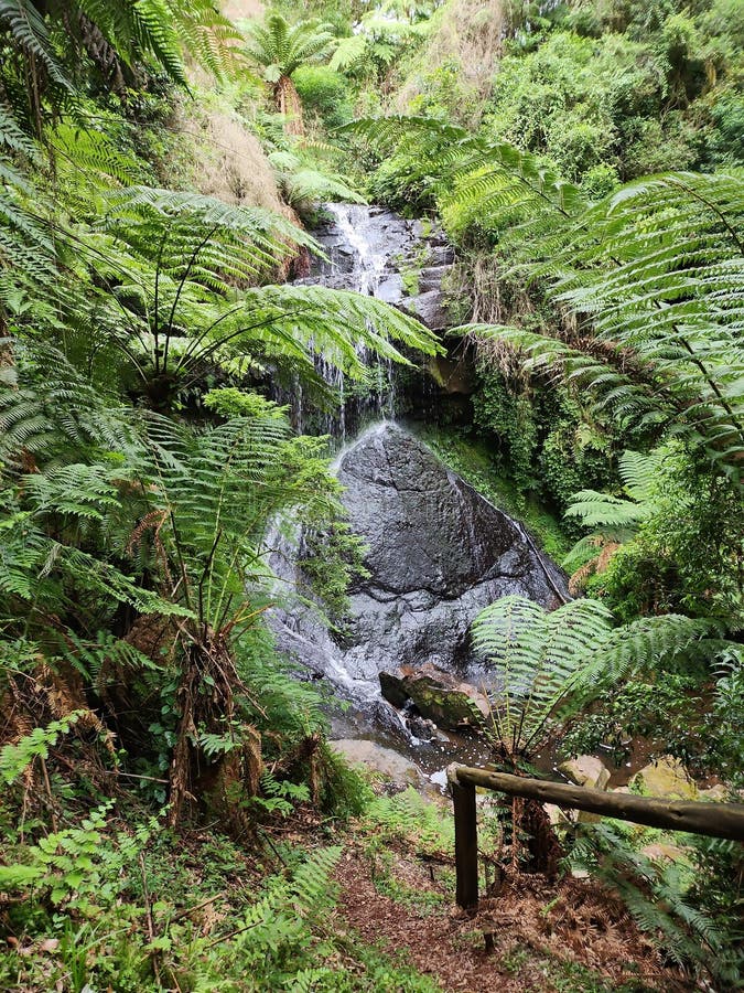 Beautiful and Pleasant Waterfall in Triangular Shape with Ferns and ...