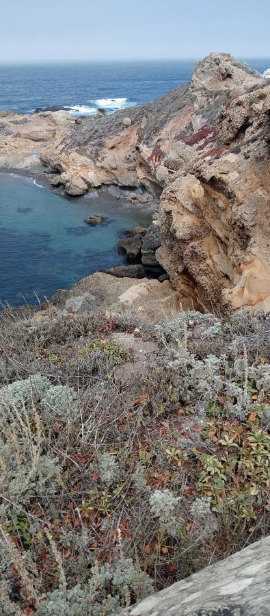Beautiful Point Lobos California Stock Image - Image of wood, point ...