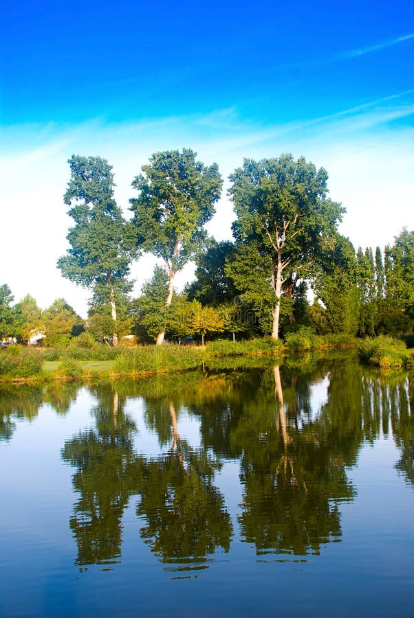 Beautiful pond stock image. Image of grass, morning, pond - 16412943