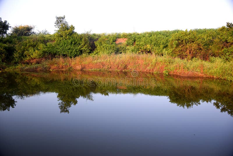 Beautiful Pond and Blue Sky with Greenery, Morning View Stock Image ...