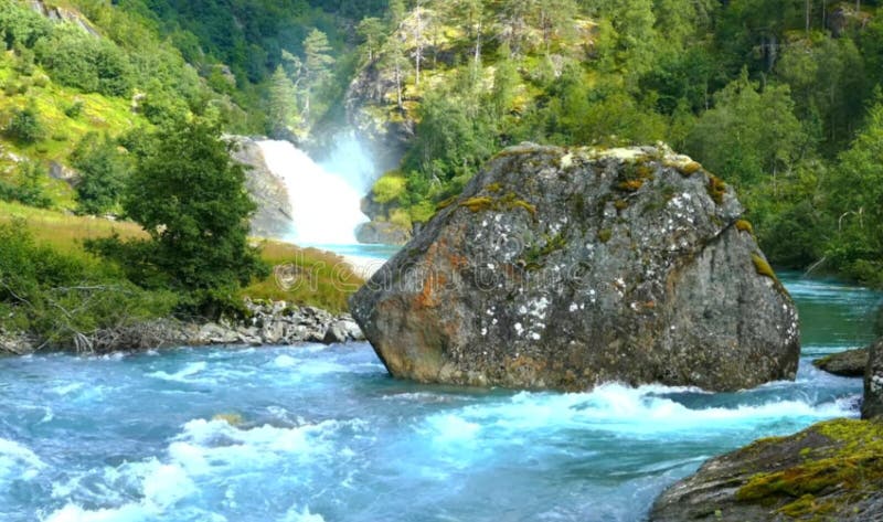 Beautiful pond in forest stock photo. Image of pond - 235438206