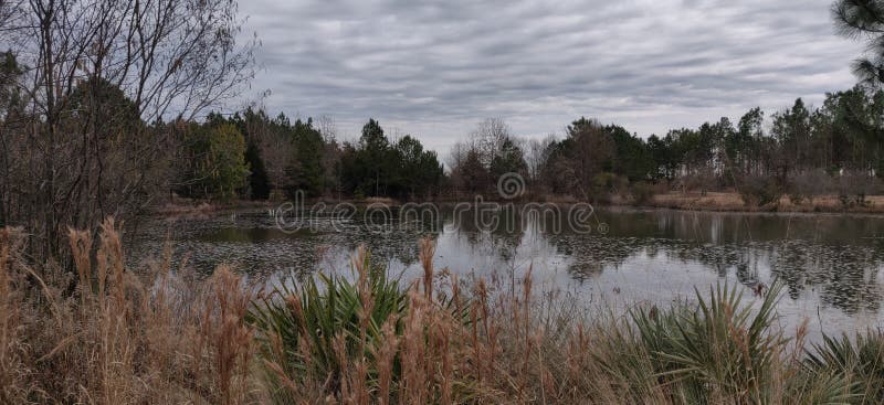 Beautiful Pond stock photo. Image of beautiful, pond - 138993370