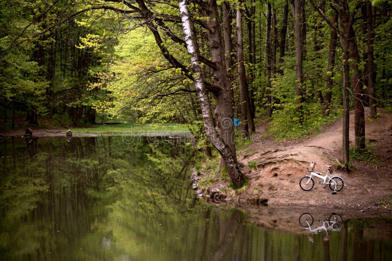Beautiful Pond Reflection Park Bicycle Shore Stock Photos - Free ...