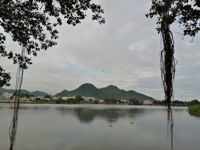 A Beautiful Pond with Shadow of Banyan Tree Roots Stock Image - Image ...