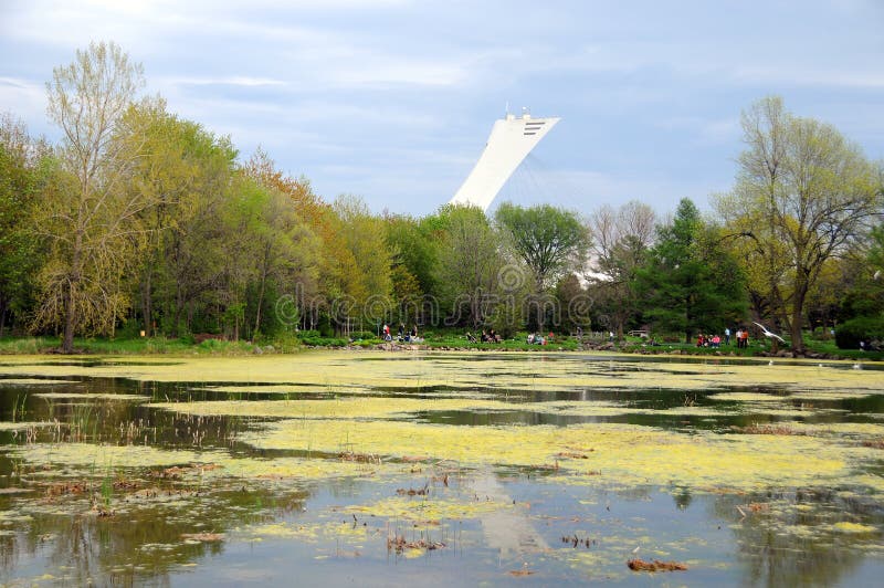 Beautiful Pond in Spring Time Stock Image - Image of flower, beautiful ...