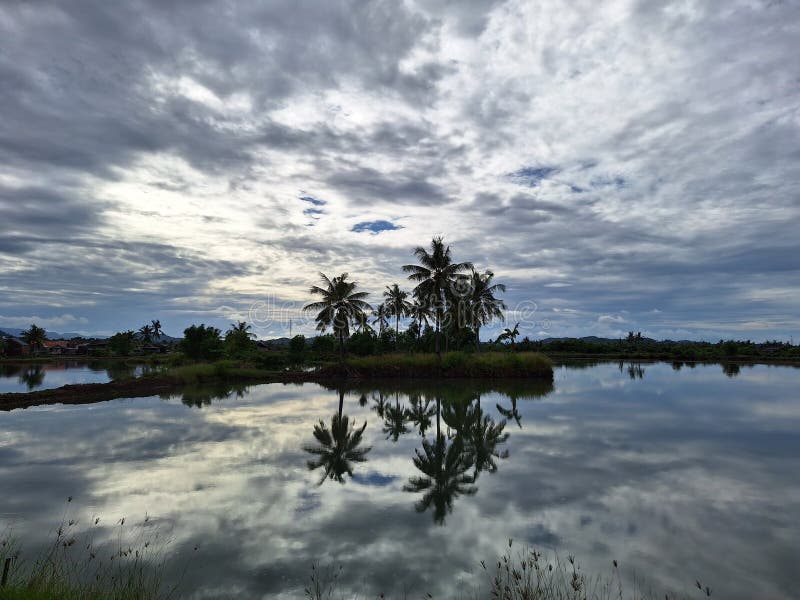 Beautiful Pond View in the Afternoon Stock Image - Image of scenery ...