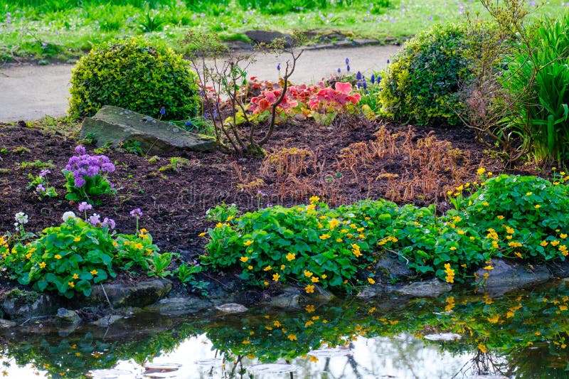 Beautiful Pond in Zen Garden at Springtime Stock Image - Image of park ...