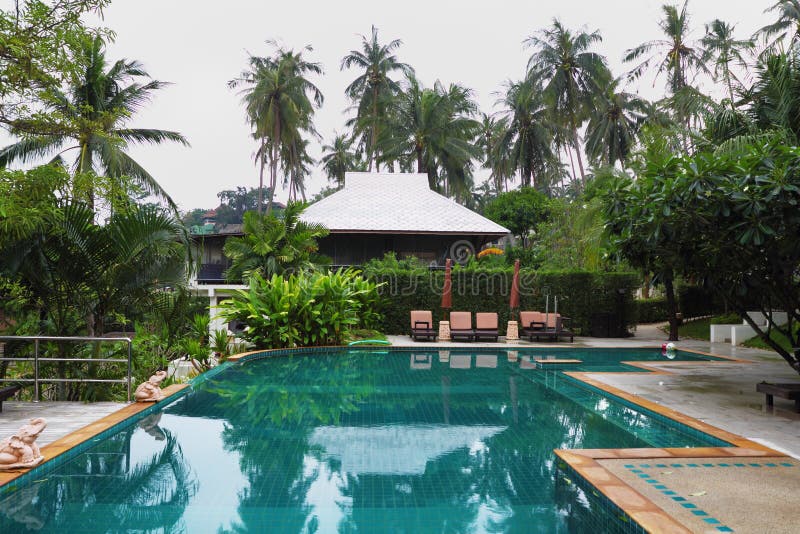 Beautiful pool stock image. Image of resort, swimming - 19651617