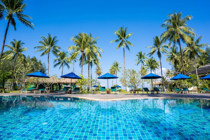 Beautiful Pool and Coconut Tree View Stock Photo - Image of beautiful ...