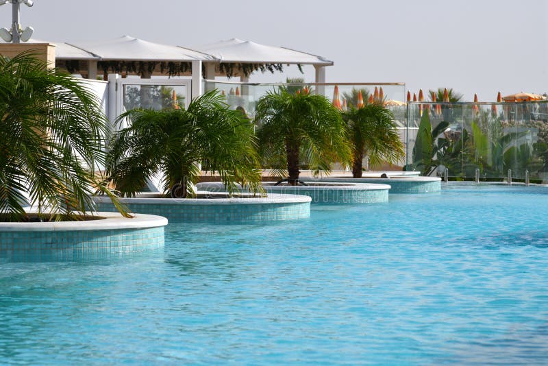 A Beautiful Pool with a Palm Trees Outdoors Stock Image - Image of ...