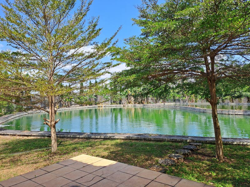 Beautiful Pool and Trees in Summer Season Stock Image - Image of gazebo ...