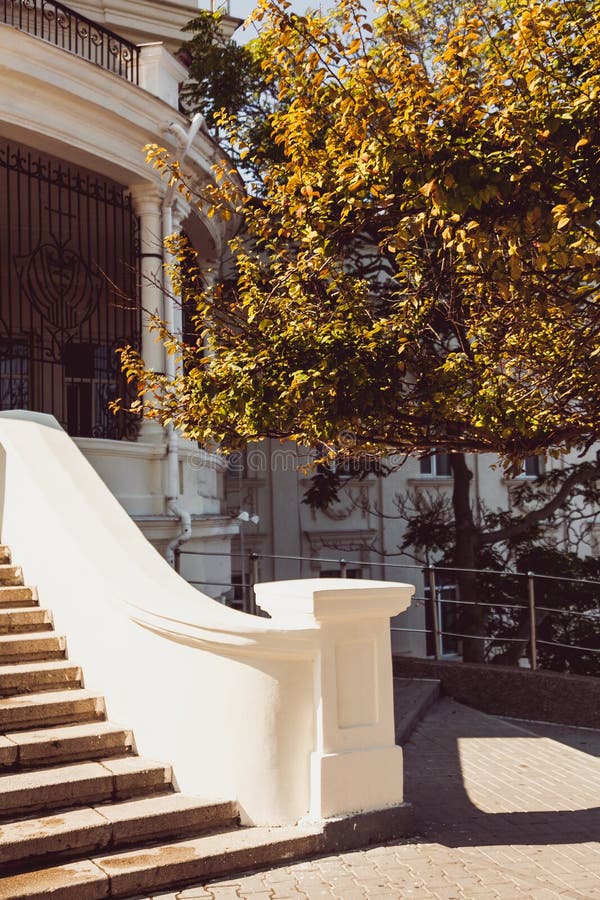 Beautiful Porch with Tree Growing Stock Image - Image of sidewalk ...
