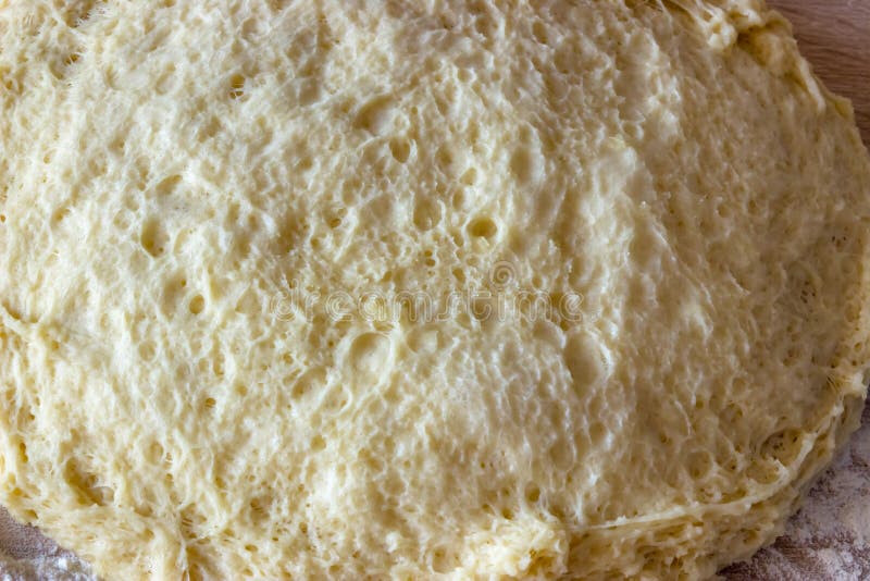 Beautiful Porous Structure of the Approached Yeast Dough. Stock Photo ...