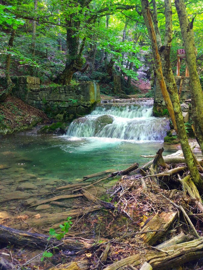 Mountain Waterfall in the Forest Stock Image - Image of begins, creek ...