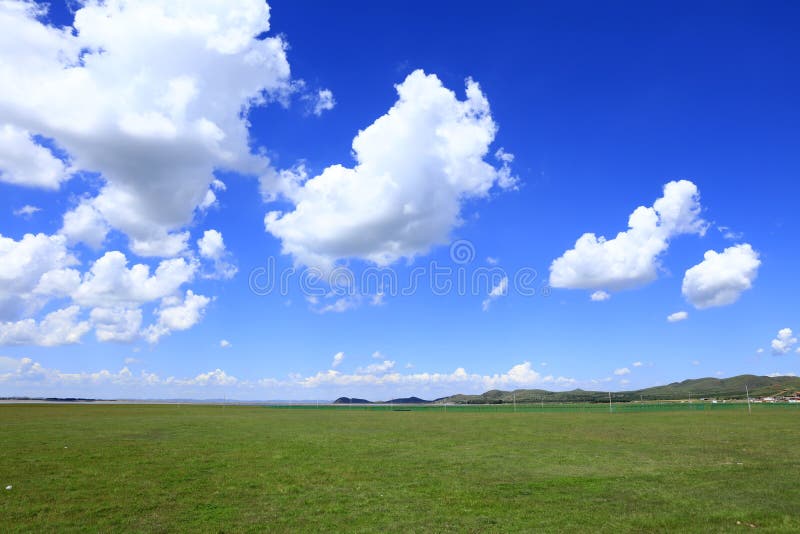 The beauty of the prairie stock image. Image of season - 175569119