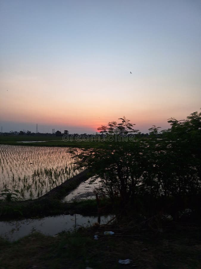 Beautiful and Pretty View of the Evening Sky Stock Photo - Image of ...