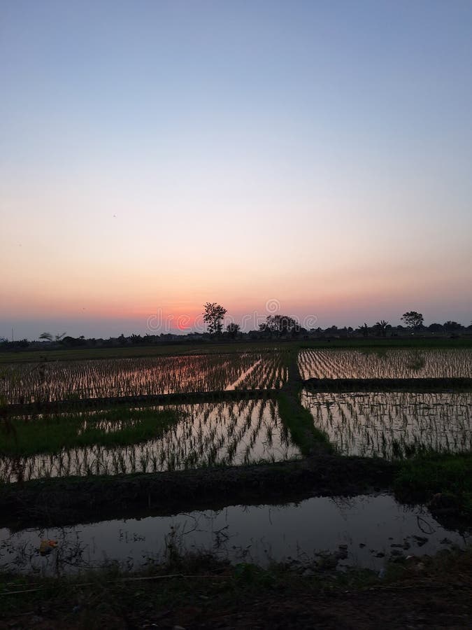 Beautiful and Pretty View of the Evening Sky Stock Photo - Image of ...