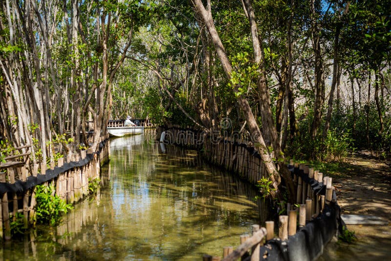 Beautiful Progreso Beach in Mexico Stock Image - Image of park, estuary ...