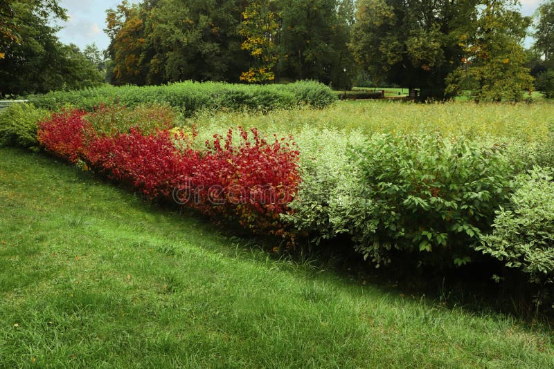 Beautiful Public City Park with Many Different Plants Stock Image ...